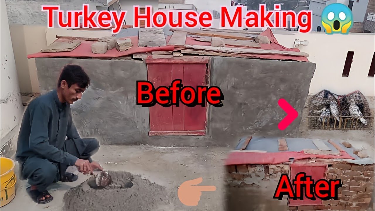 Turkey House Making | How to Turkey House Making | Turkey house Pets ...