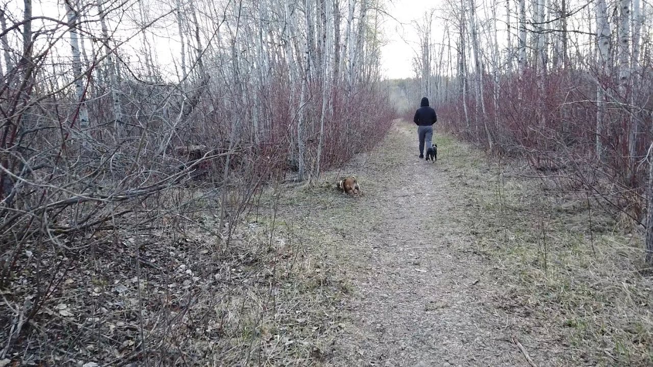 Sa kakahuyan... || Chiklet & Khobe Official - YouTube