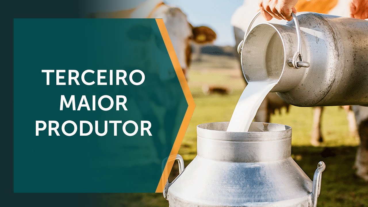 Brasil é o terceiro maior produtor de leite e tem potencial para ...