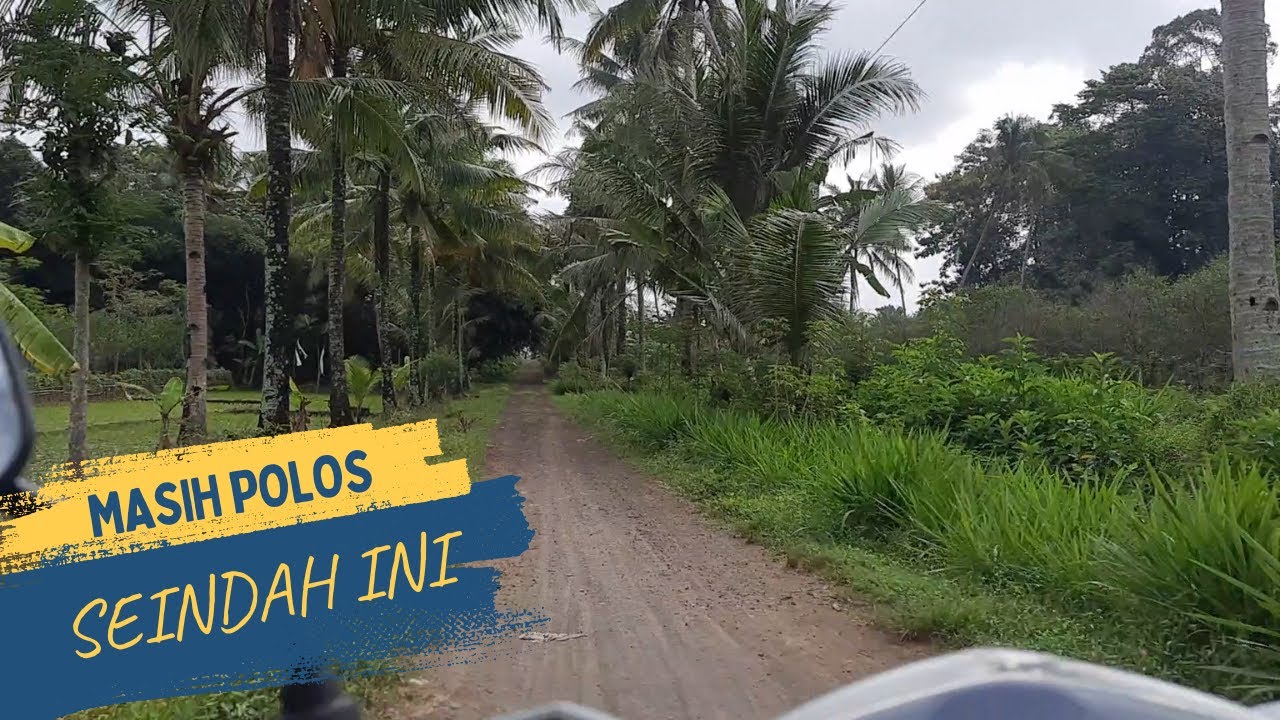 ALAMI BELUM TERSENTUH - KEINDAHAN DESA - JALANAN DESA SUKOREJO - YouTube