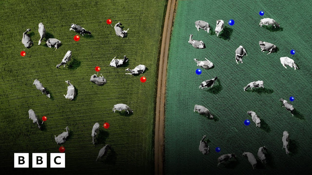 How a cattle crisis led to the US-Mexico border | BBC Global - YouTube