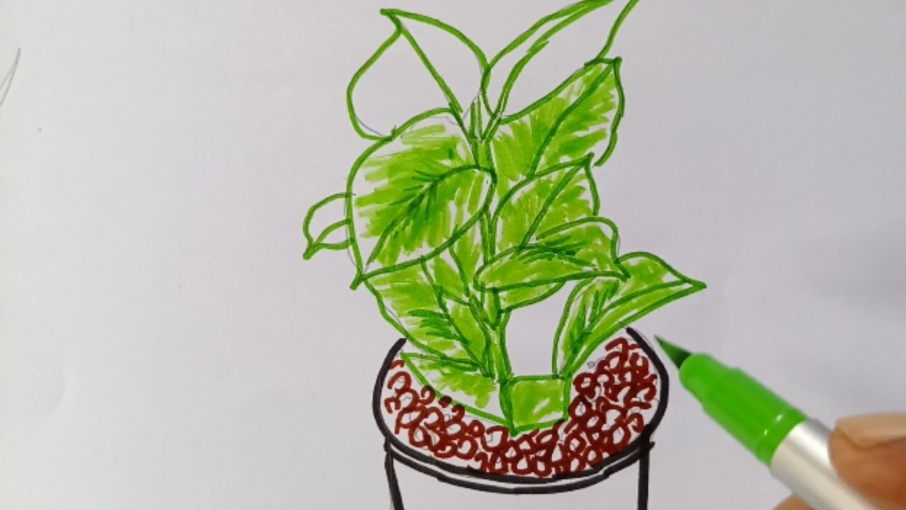 Easy Indoor Plant Drawing Tutorial | Simple Step-by-Step Art Guide 🌿🖌️ ...