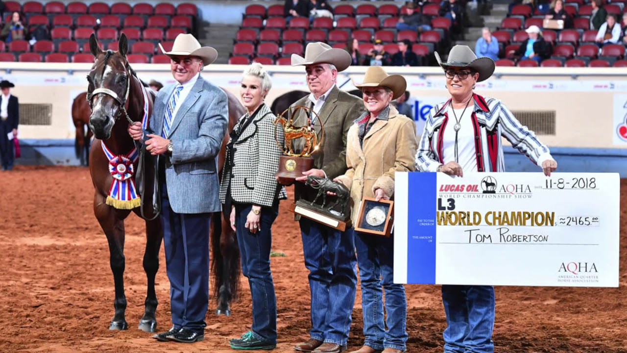 2018 AQHA Performance Halter Mares - YouTube