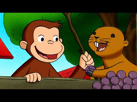 ¡Amigos del subsuelo! | Jorge El Curioso En Español
