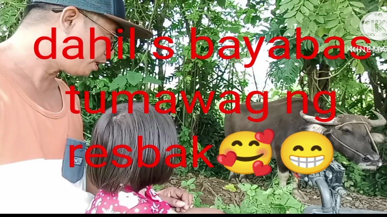 kalabaw n walo ang paa🤔 - YouTube