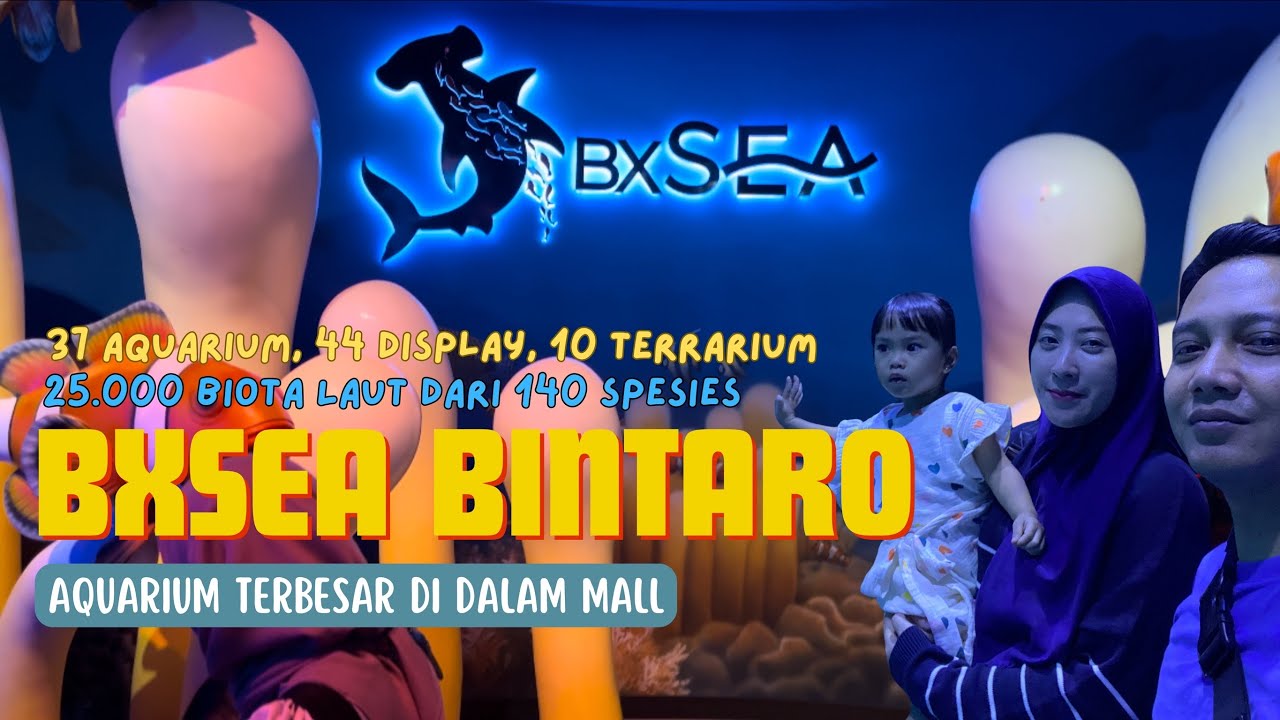 BX SEA | BINTARO XCHANGE MALL 2 | OCEANARIUM PERTAMA TERBESAR DI ...