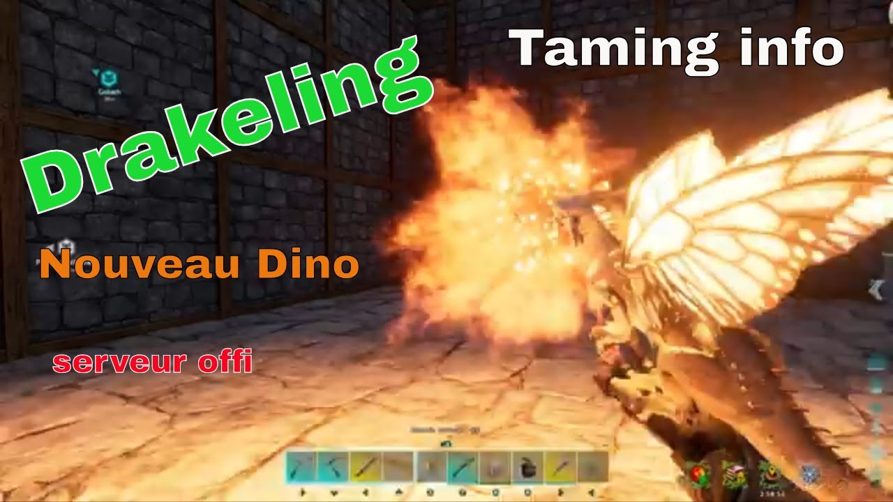 Ark Ascended Drakeling taming et info - YouTube