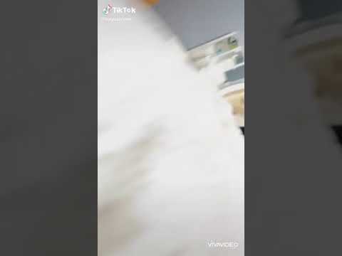 Tugbarones | akıl döndürücü tiktok videoları