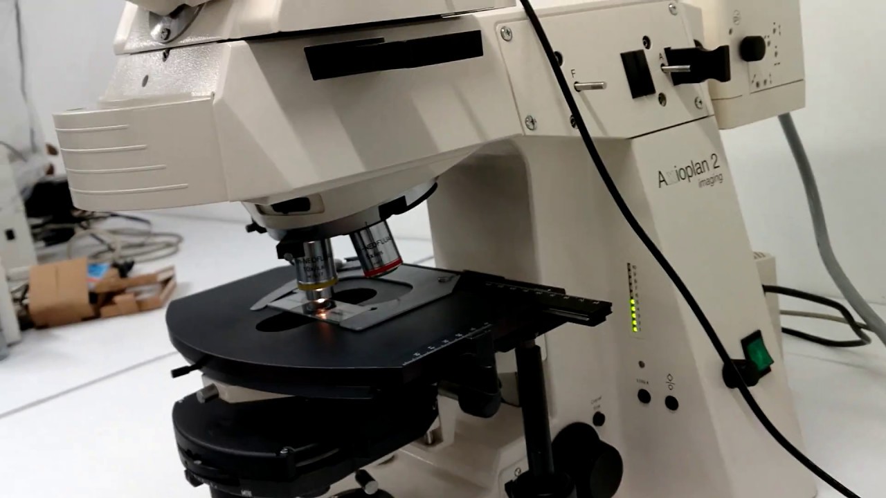 Zeiss Axioplan 2 Imaging Microscope Phase Contrast, Fluorescence, DIC ...