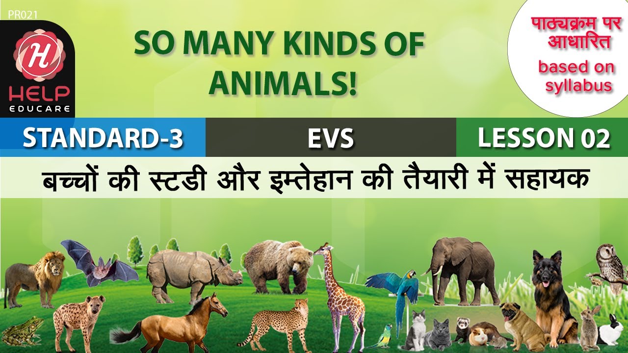 STANDARD 3 | EVS | LESSON 02 | So Many Kinds Of Animals - YouTube