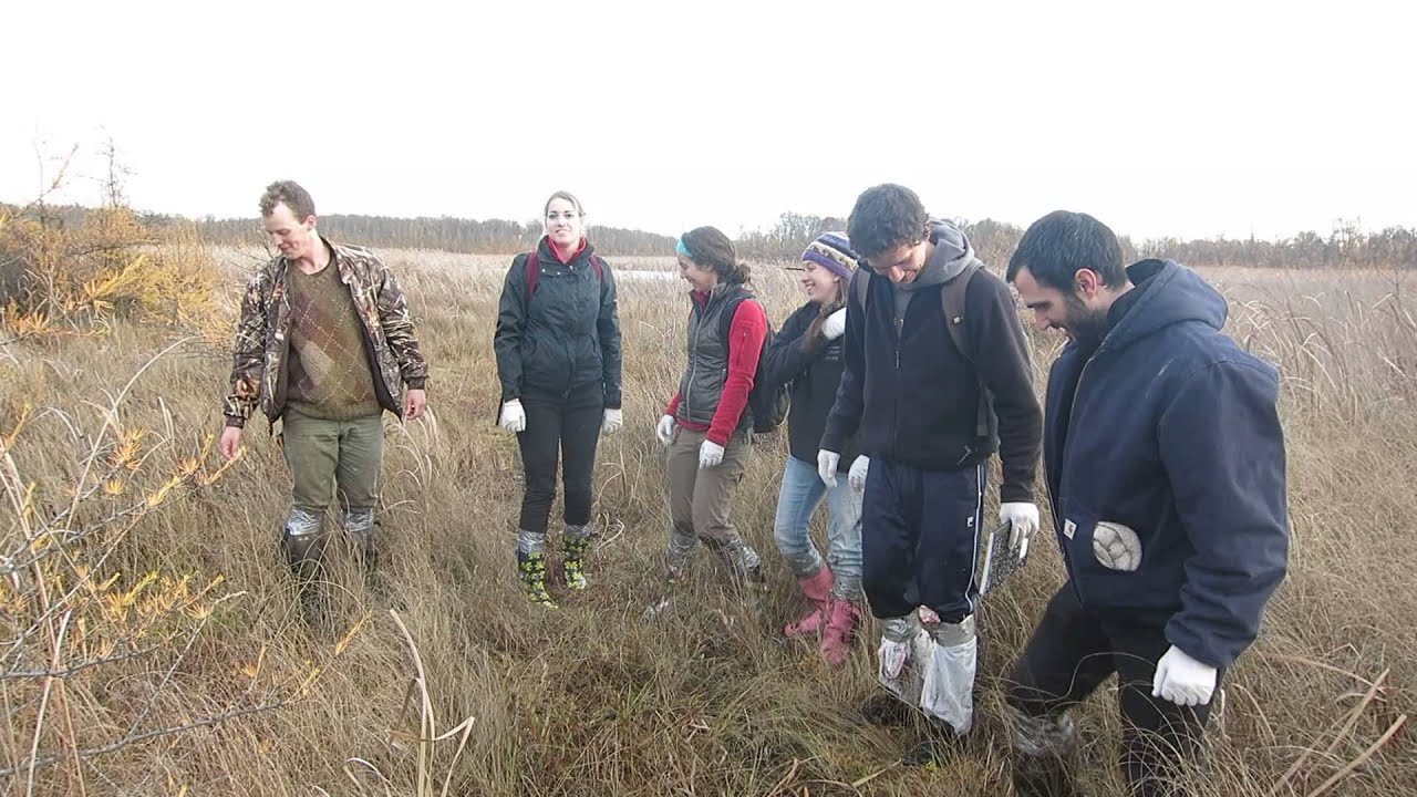 Quaking bog at Mud Lake - YouTube