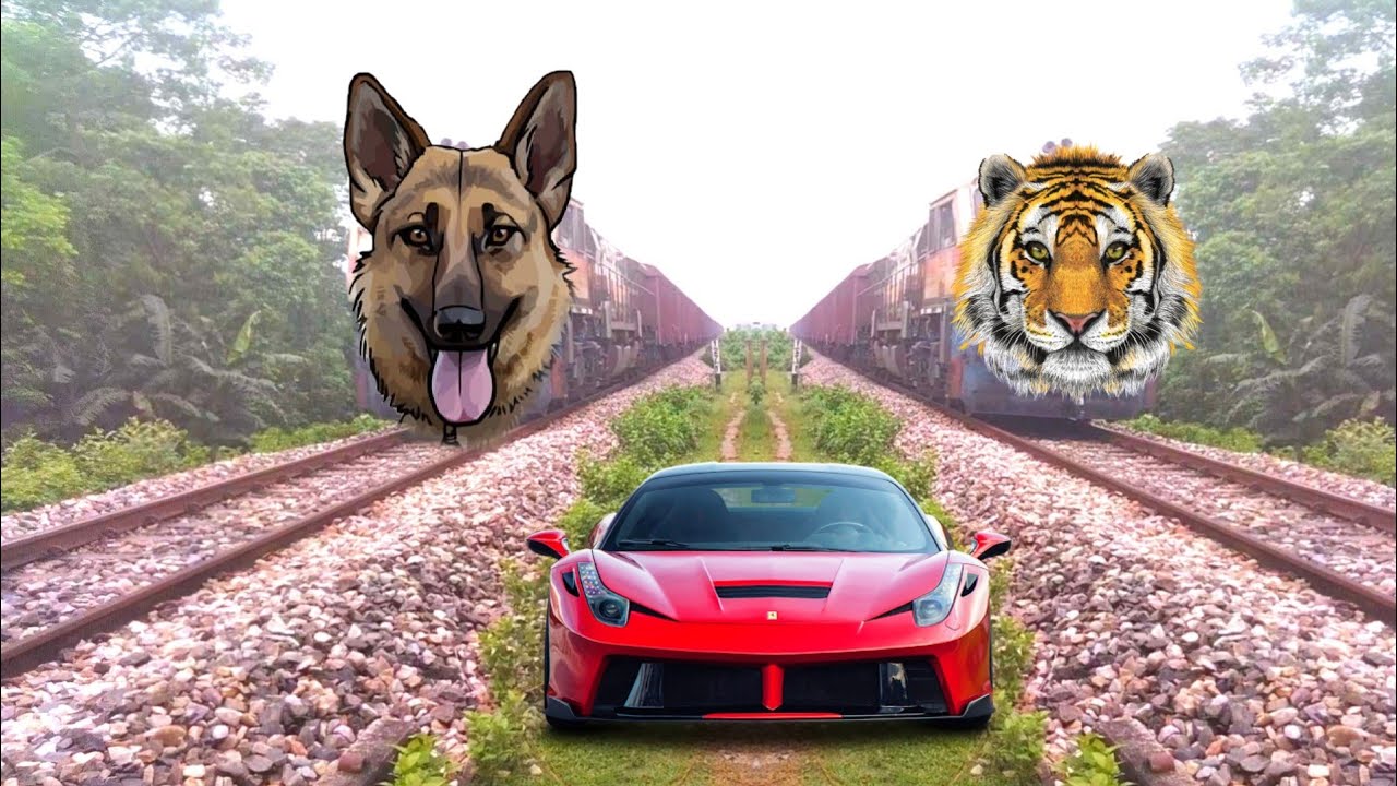 tigar train।dog train।tom and jerry।train video। - YouTube