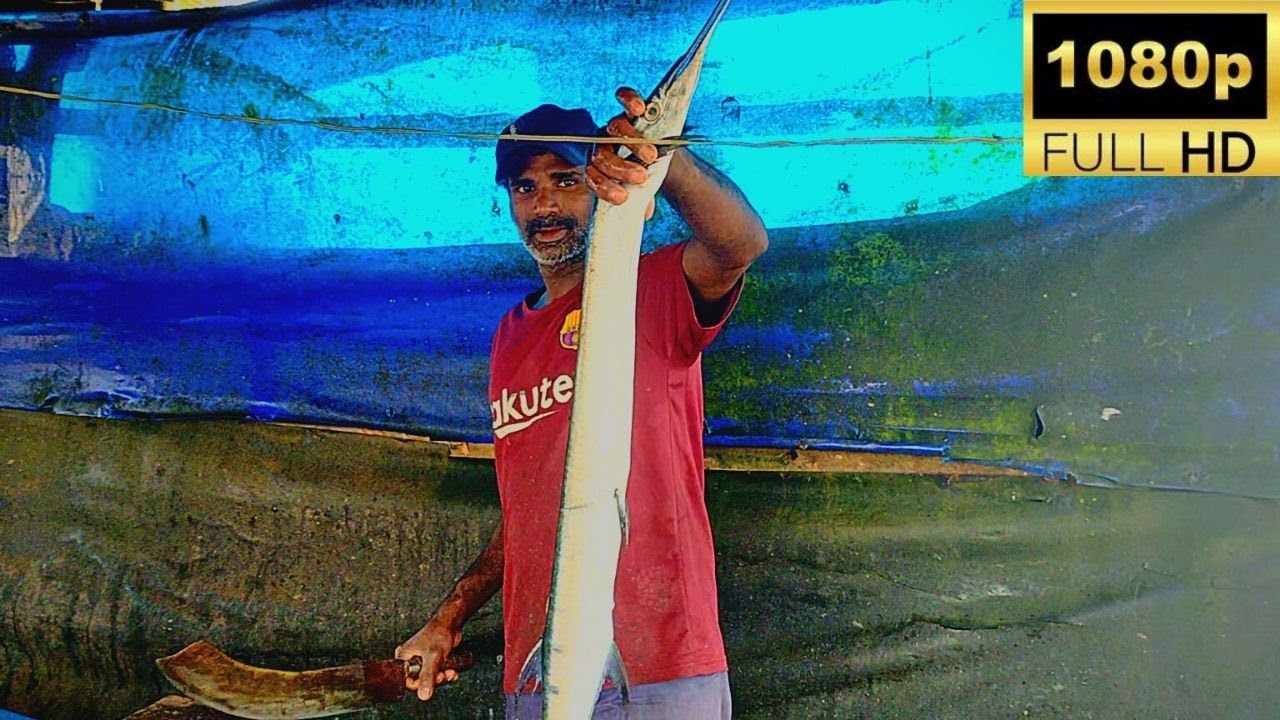 GAR FISH CUTTING | FISH CUTTING SKILLS - YouTube