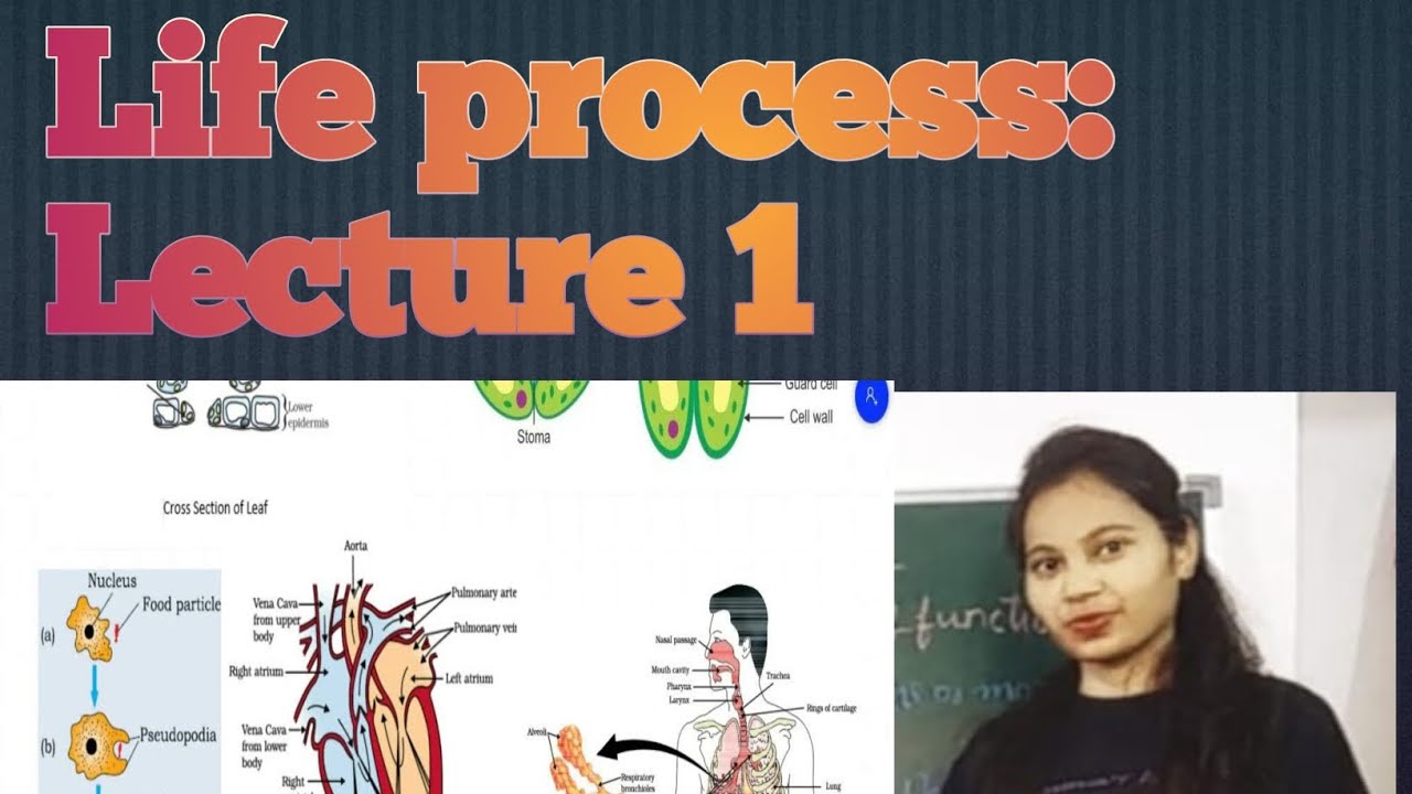 Life process: class 10th lecture:1 - YouTube
