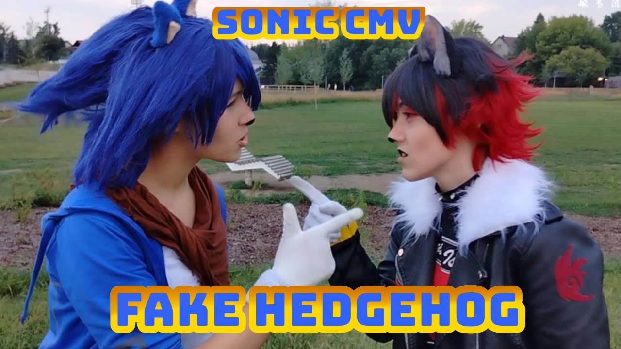 Fake Hedgehog by Random Encounters | Live Action - YouTube