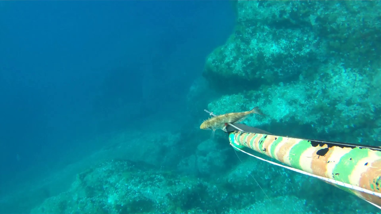 ψαροντουφεκο 30 4 2017 spearfishing - YouTube