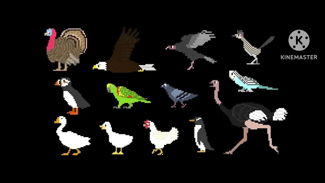 Birds Remake - YouTube