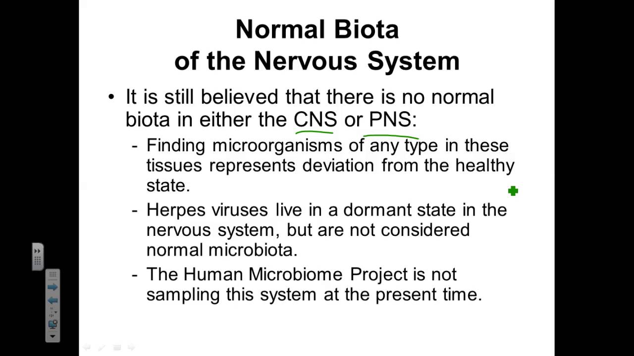 Micro Ch 17 Normal Biota of Nervous System - YouTube