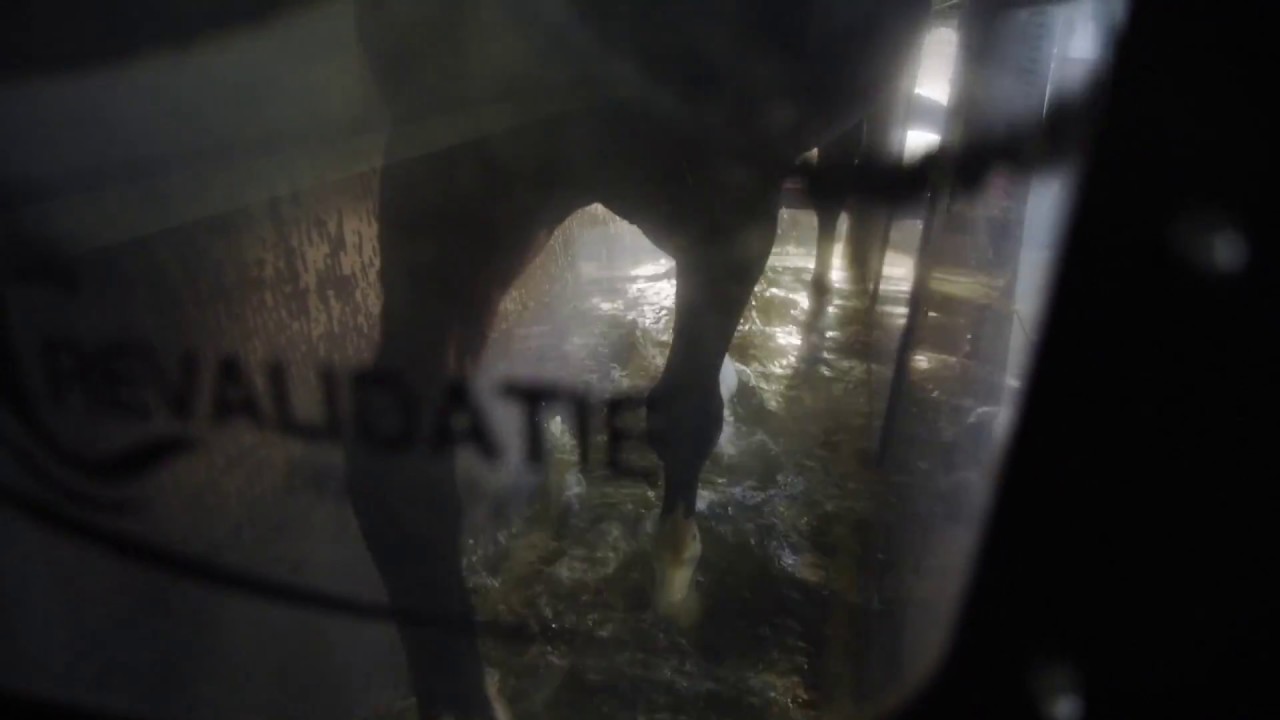 PRNH - Intro movie - YouTube