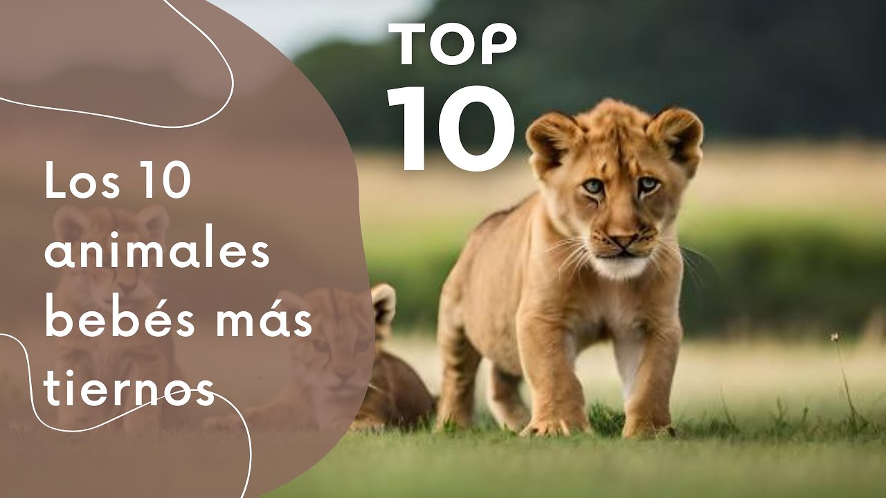 Estos 10 animales bebés son demasiado adorables para ser reales ...