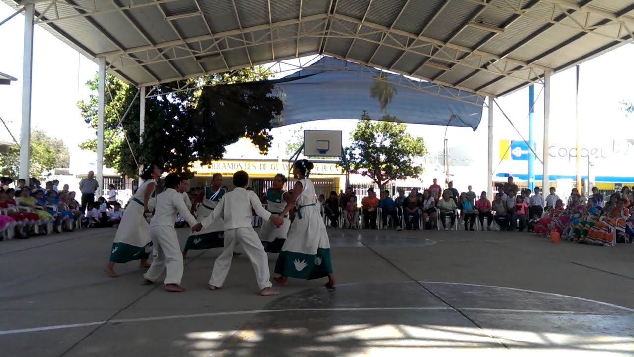 VIDEO0106LBJG DANZA La Picota - YouTube