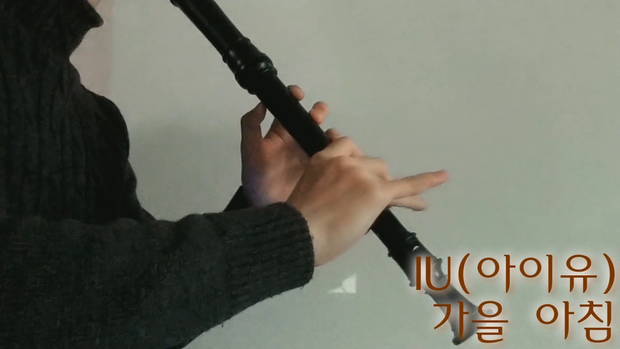 [불심치] 아이유(IU)-가을아침(Autumn morning) Recorder cover - YouTube