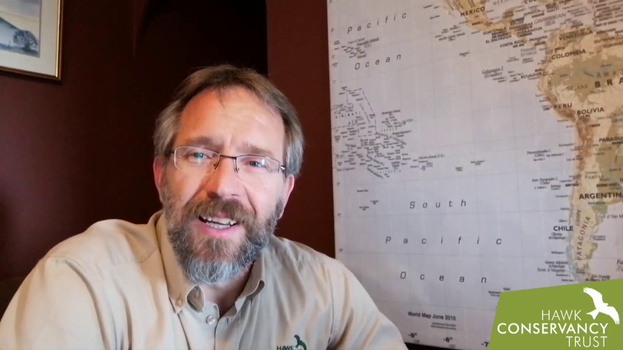 Q&A with Dr Matt Stevens, our UK Conservation Biologist - YouTube