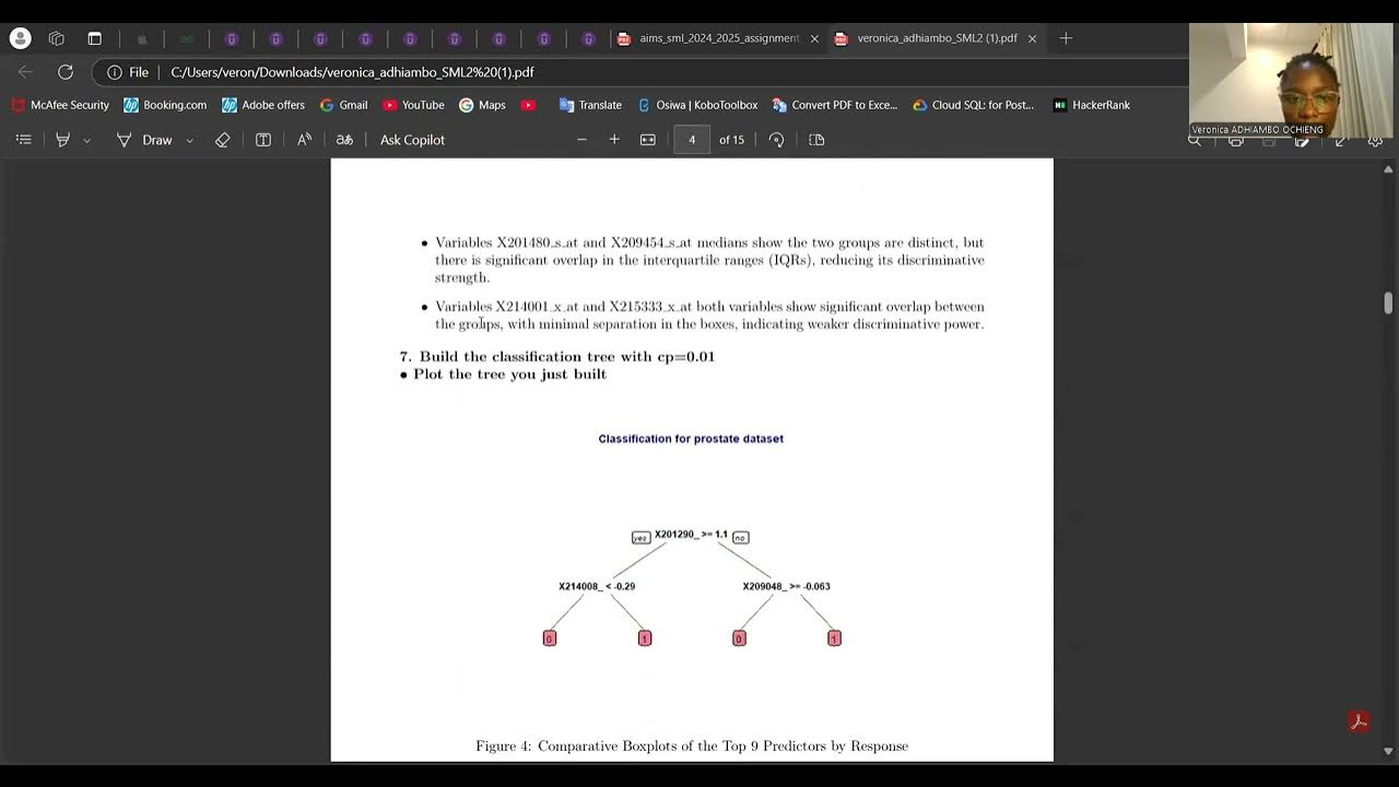 Assignment 2 - YouTube