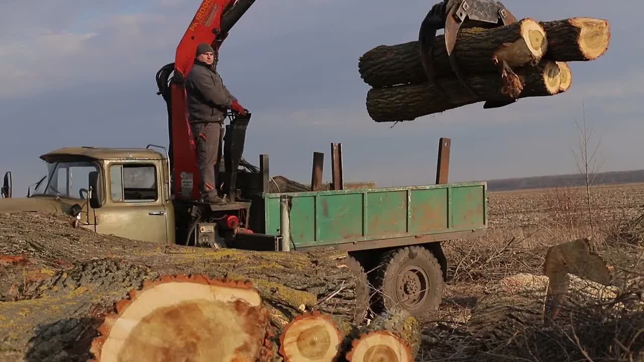 Amazing Biggest Logging Truck Drivers Operator Oversize Load Heavy ...