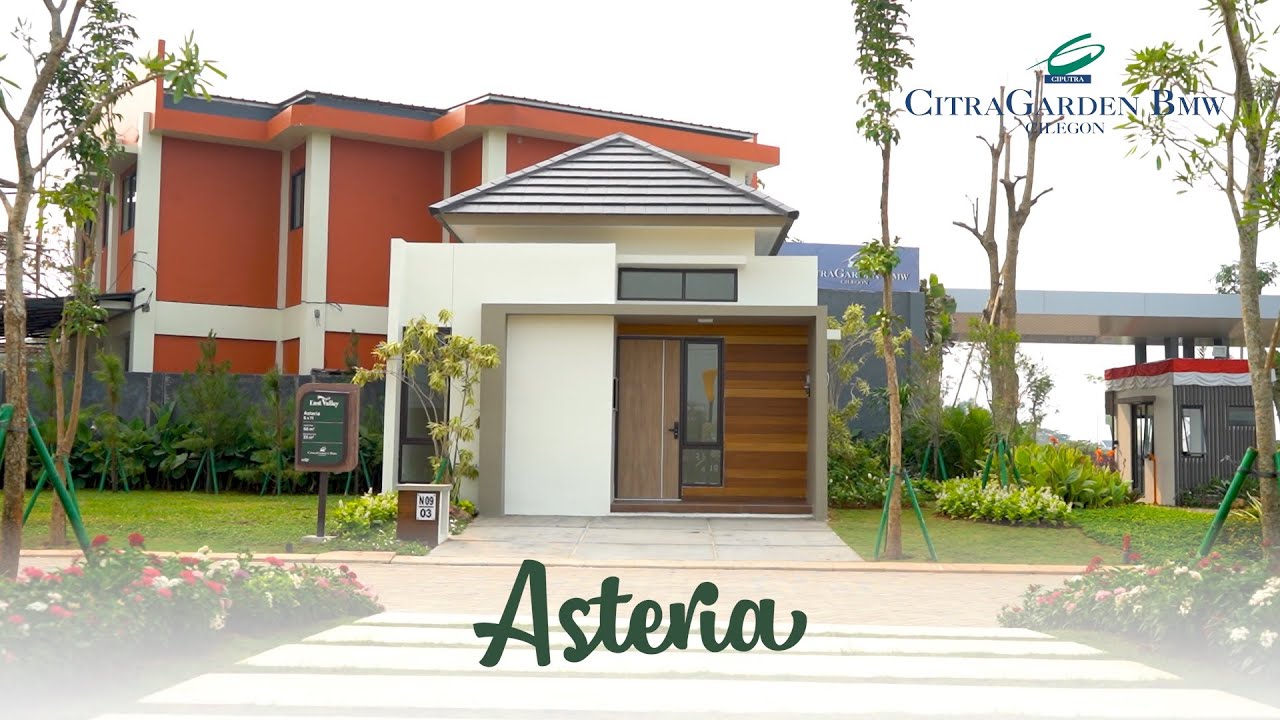 Our New Type - Asteria - YouTube