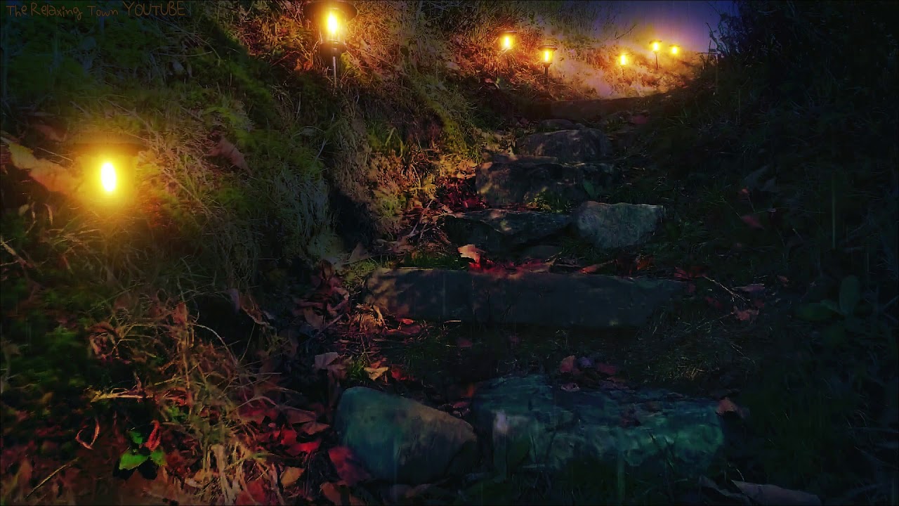 🎧 Rain on Leaves on a Forest Road at night - 10 Hours | Cozy Rain ...