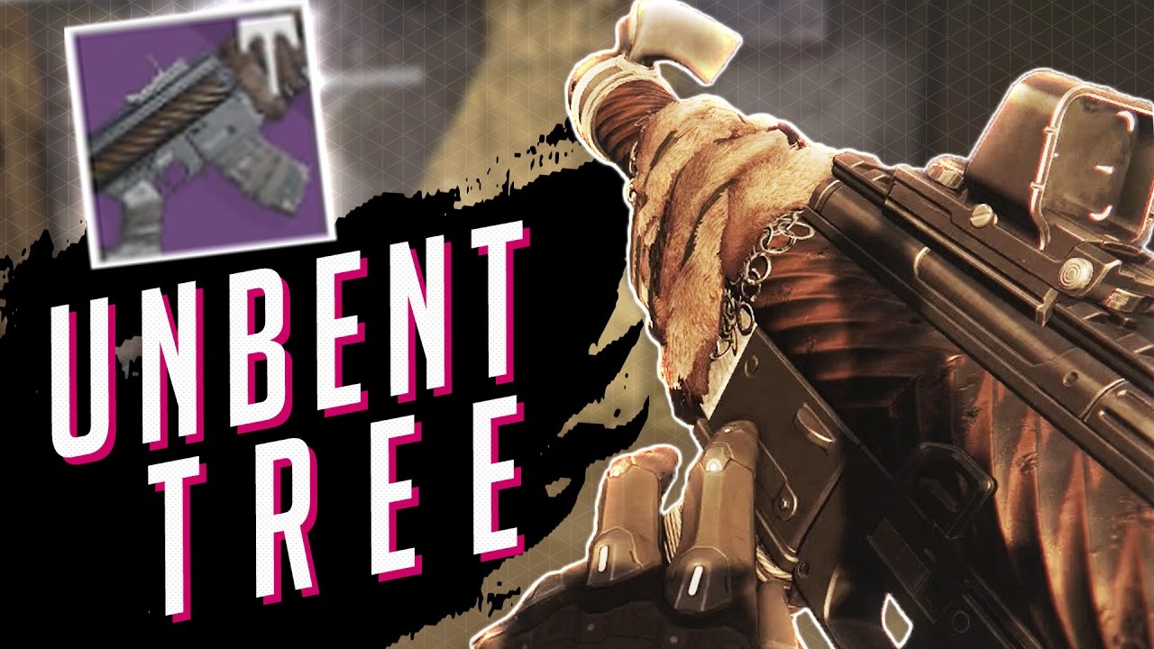 BEST AUTO RIFLE of Year 3 | The Unbent Tree Iron Banner Auto Rifle ...