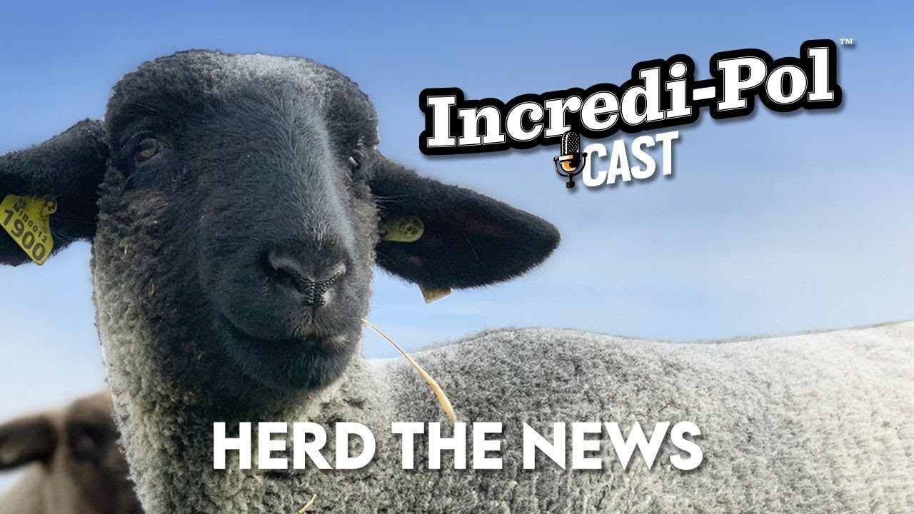 Incredi-Pol Cast - Episode 4: Herd The News - YouTube