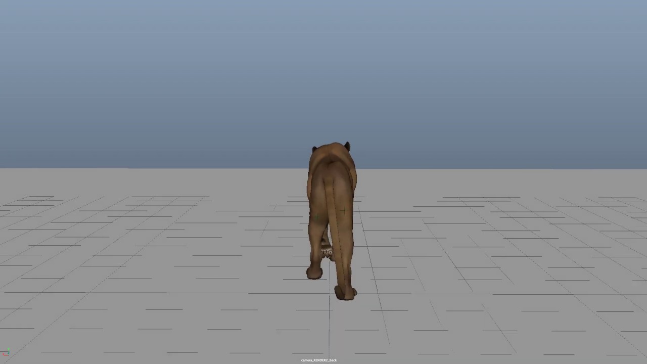 Lioness_polished legs_fingers animated_torso polished bended_back view ...