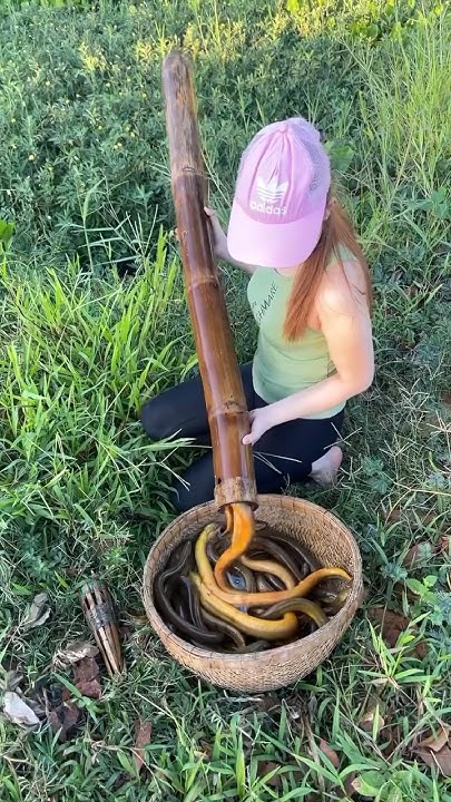 Survival eel trapping skills to catch giant eel fish - YouTube