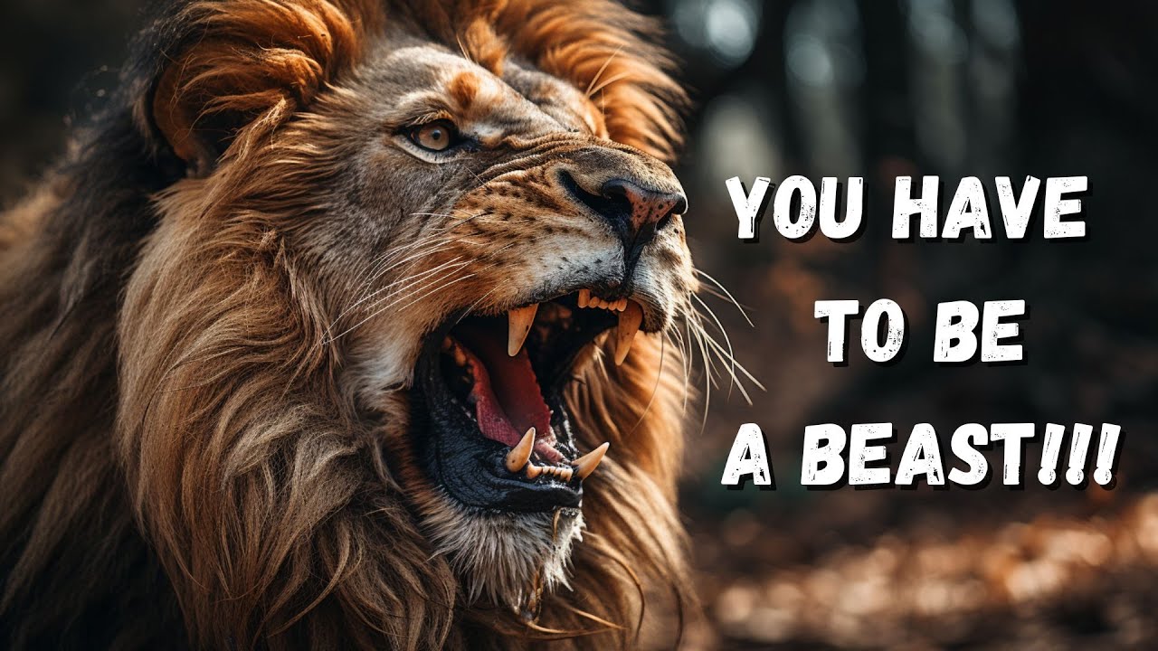 Motivation on how to become a BEAST! #mindset #motivational #mindset # ...