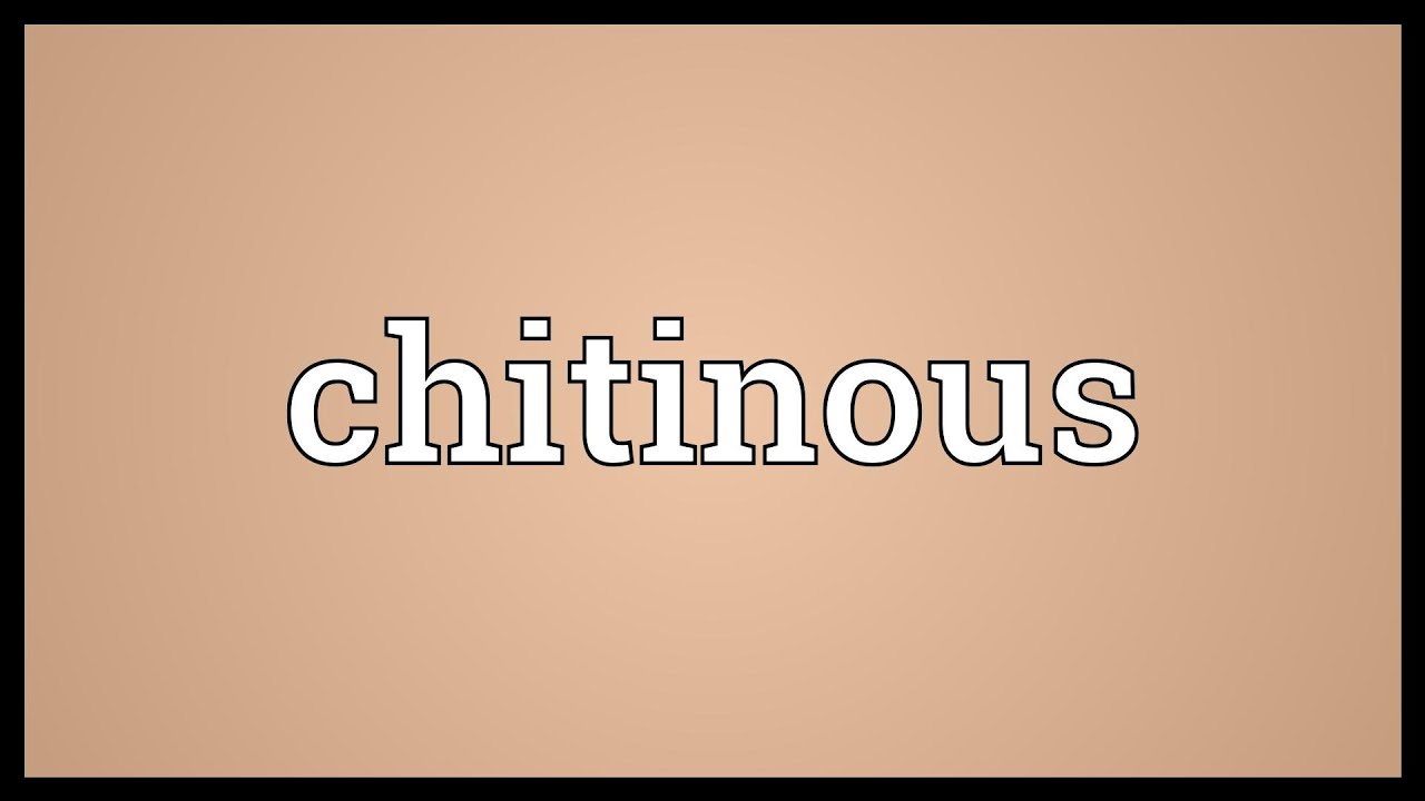 Chitinous Meaning - YouTube