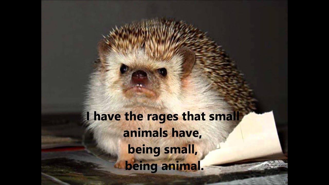 Paper Matches by Paulette Jiles - YouTube