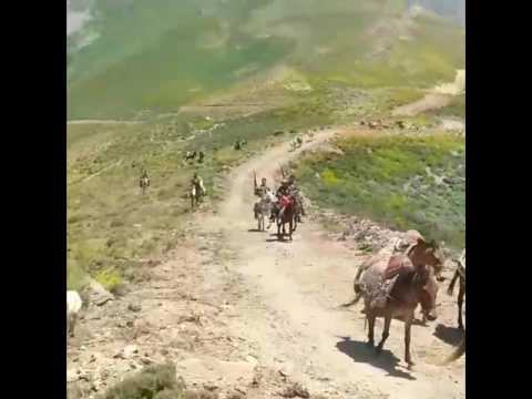 Ali Baba ve kırk haramiler