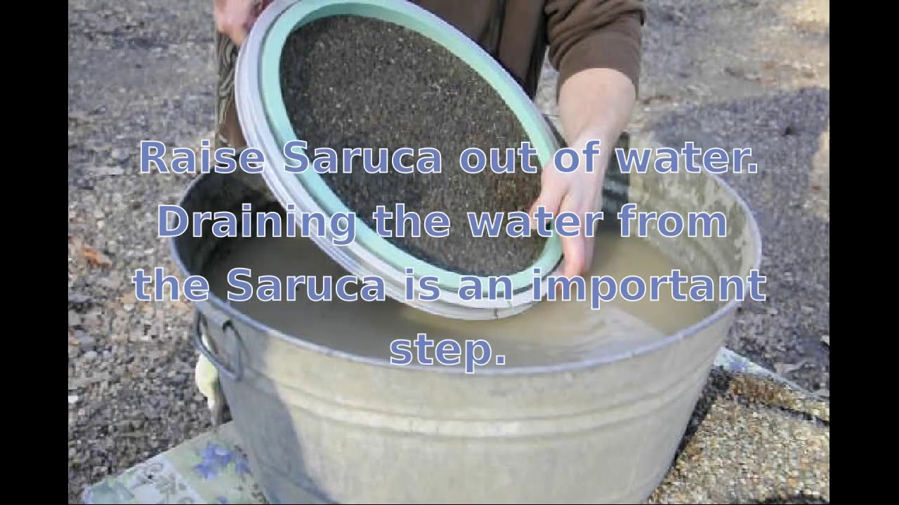 How to use a Saruca - YouTube