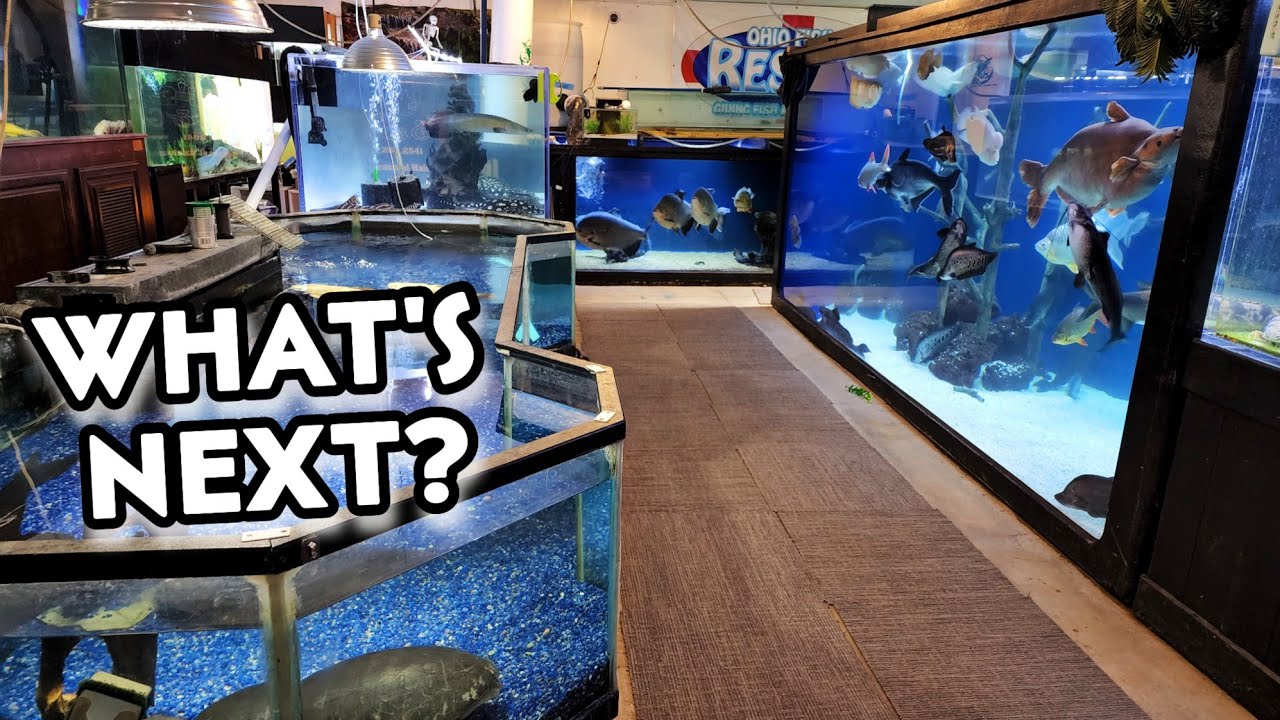 More tanks Leave Ohio Fish Rescue to make room for the Next Phase of ...