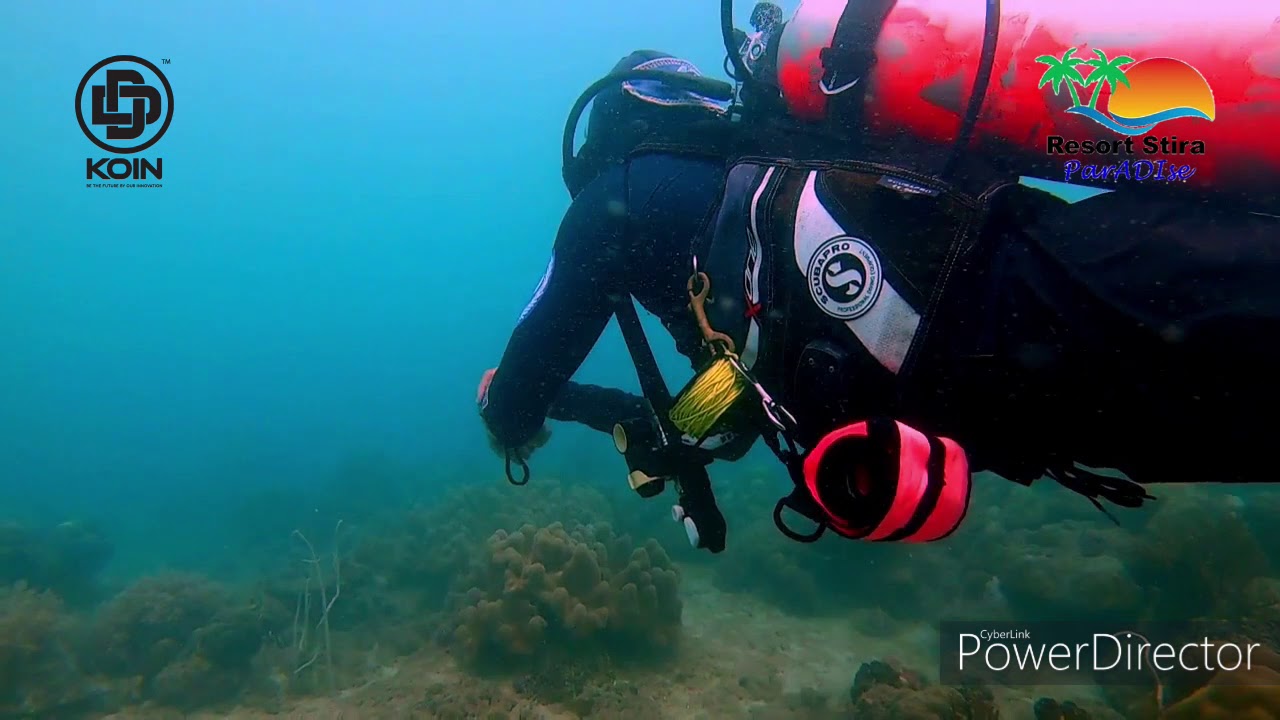 Menyelam/Diving di Resort Stira ParADIse: Underwater Episode I - YouTube