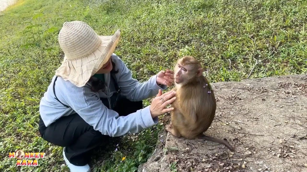 Fans visited Monkey Kaka and gave her beautiful flowers. - YouTube