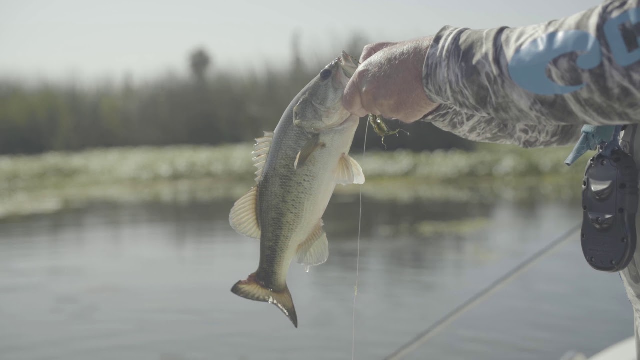 2019 Costa Bass N Fly Full - Dominic - YouTube