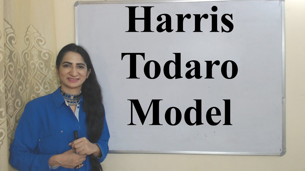 Harris Todaro Model - YouTube