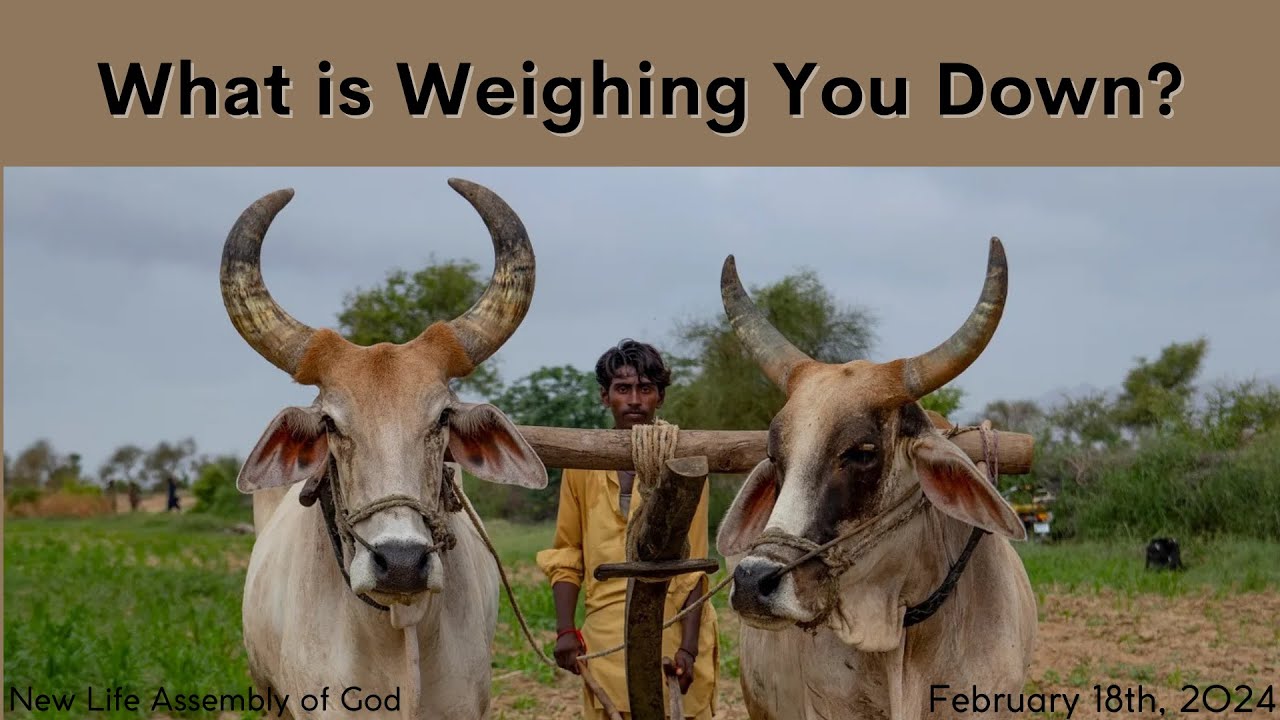 New Life Celebration Service - 02/18/24 - "What is Weighing You Down ...