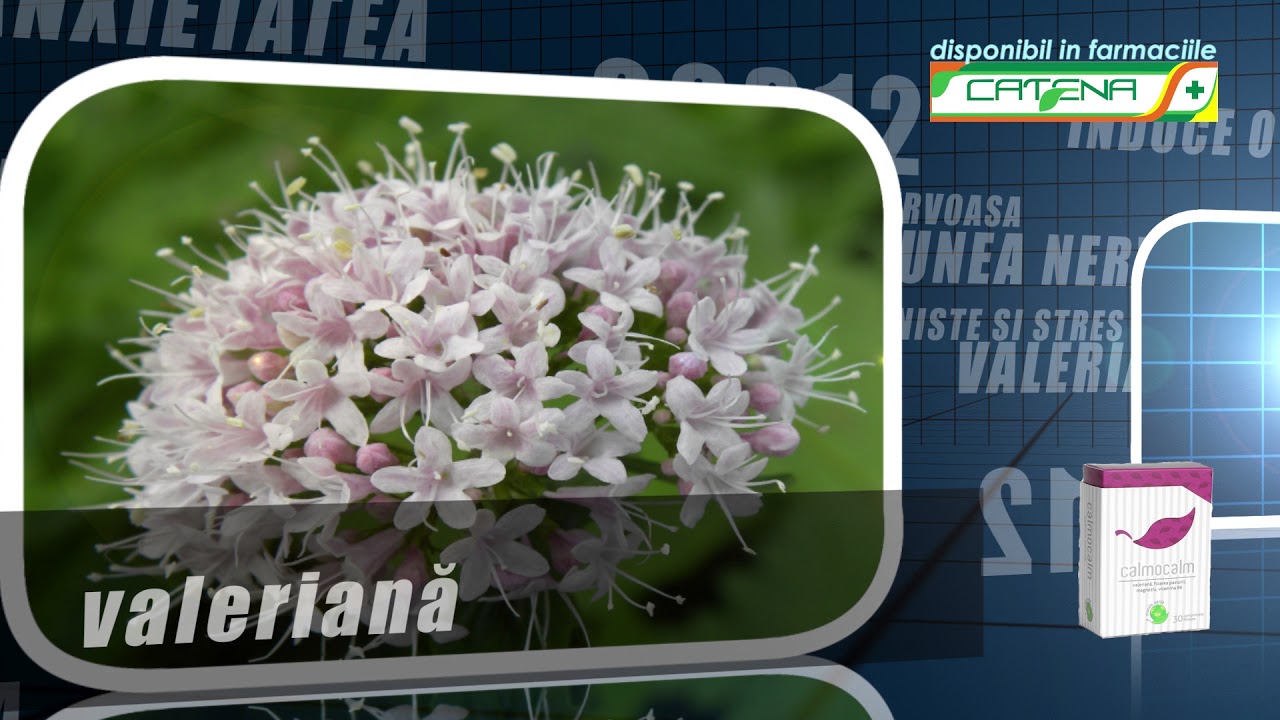 Calmocalm x 30 compr - YouTube