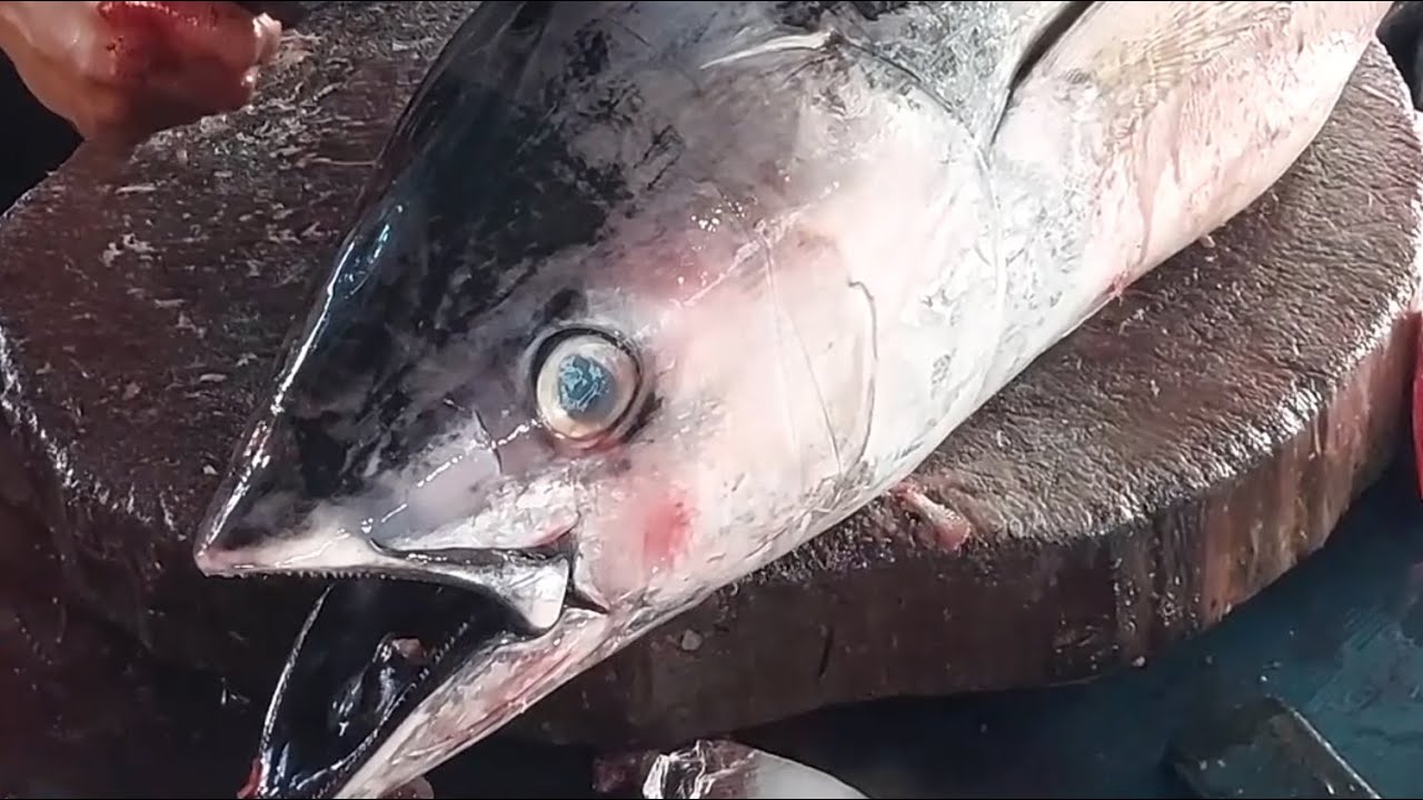 Amazing skills in cutting big tuna at the market🔥🔪🔥 Live 13 Dec 24 ...