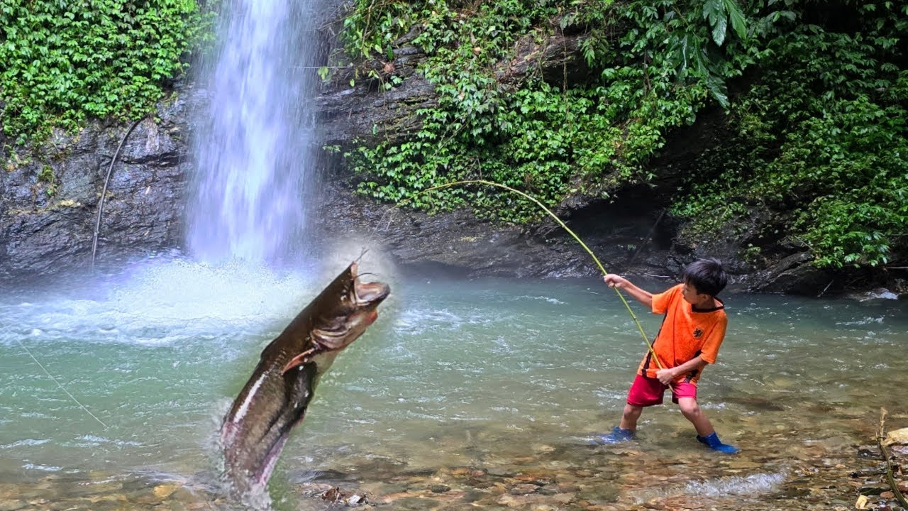 Bac's survival fishing, fishing in a large waterfall, harvests large ...