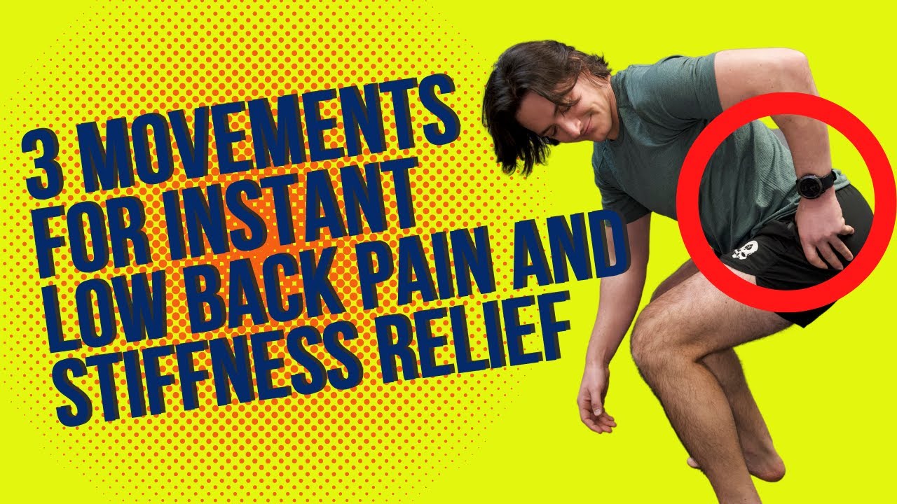3 movements you NEED to do for INSTANT low back pain and stiffness ...